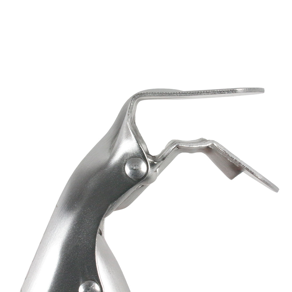 Recteq Grate Gripper Stainless Steel BBQ Tool ACGRGR – Robidoux Inc