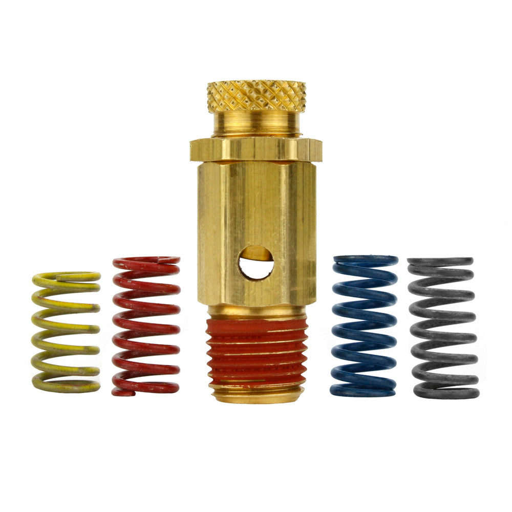 25-200 PSI 1/4" NPT Adjustable Air Pressure Relief Valve Kit – Robidoux Inc